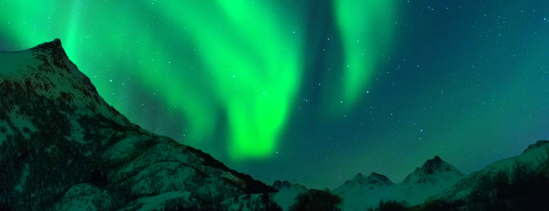 Digital Science Textbooks | Discovery Education